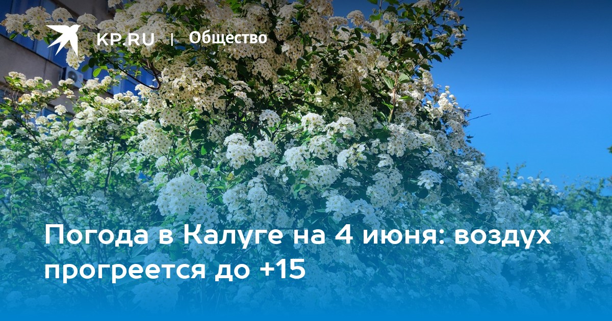Погода в Калуге на 4 июня: воздух прогреется до +15 - KP.RU